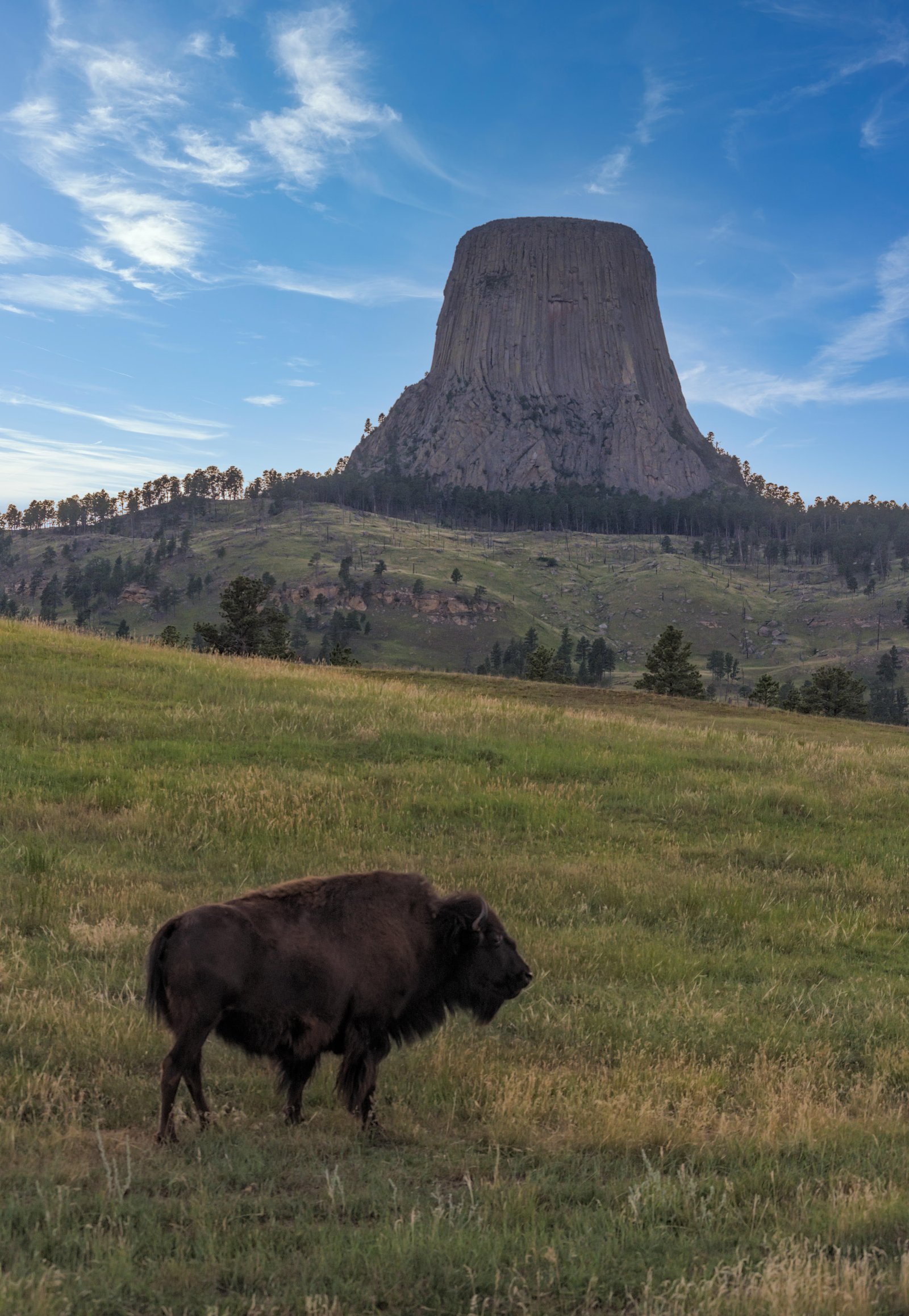 Devils Tower