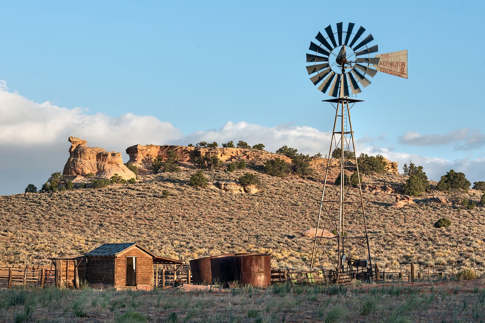 Untitled Document [www.thewave.info]